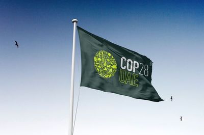 COP28: A Sustainability SIG perspective